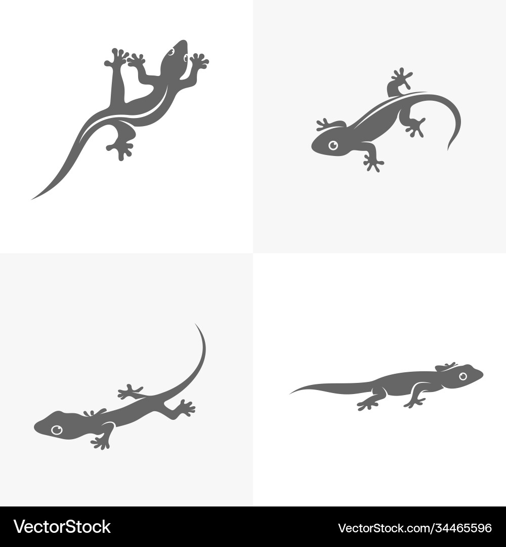Set lizard logo design template Royalty Free Vector Image