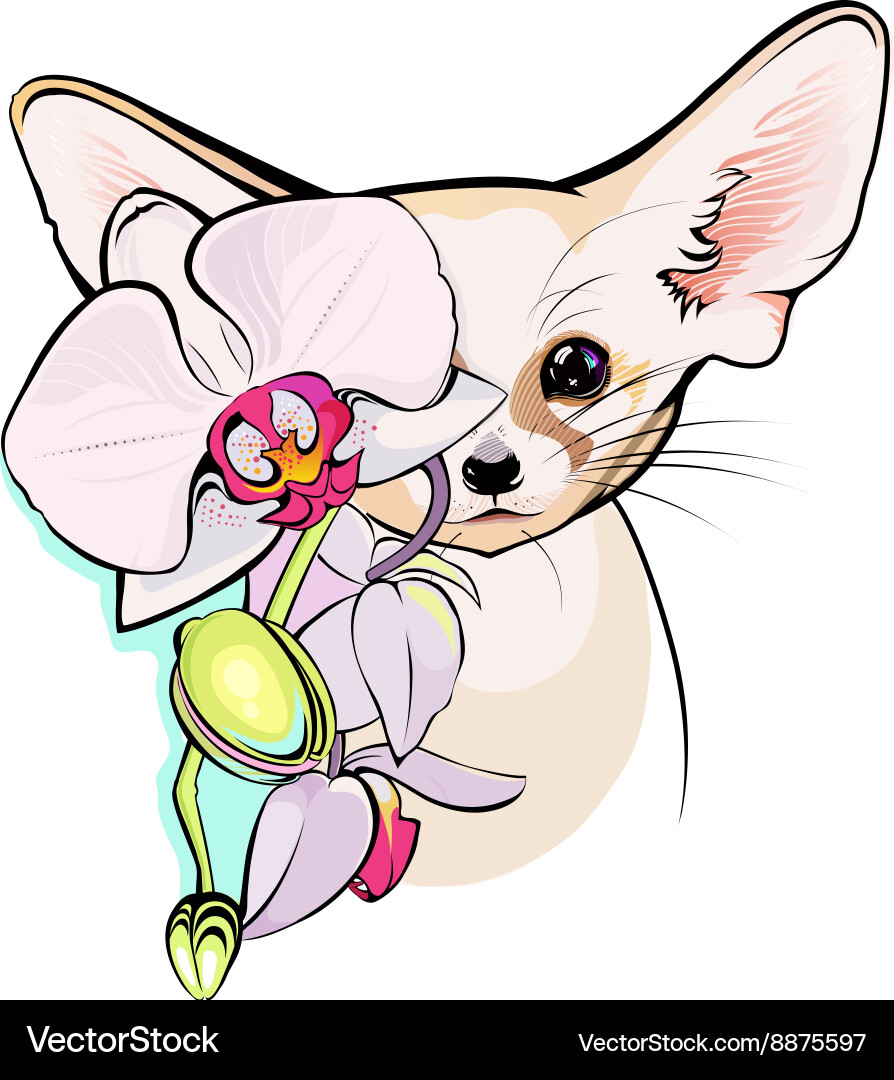 Cute fox fennec Royalty Free Vector Image - VectorStock