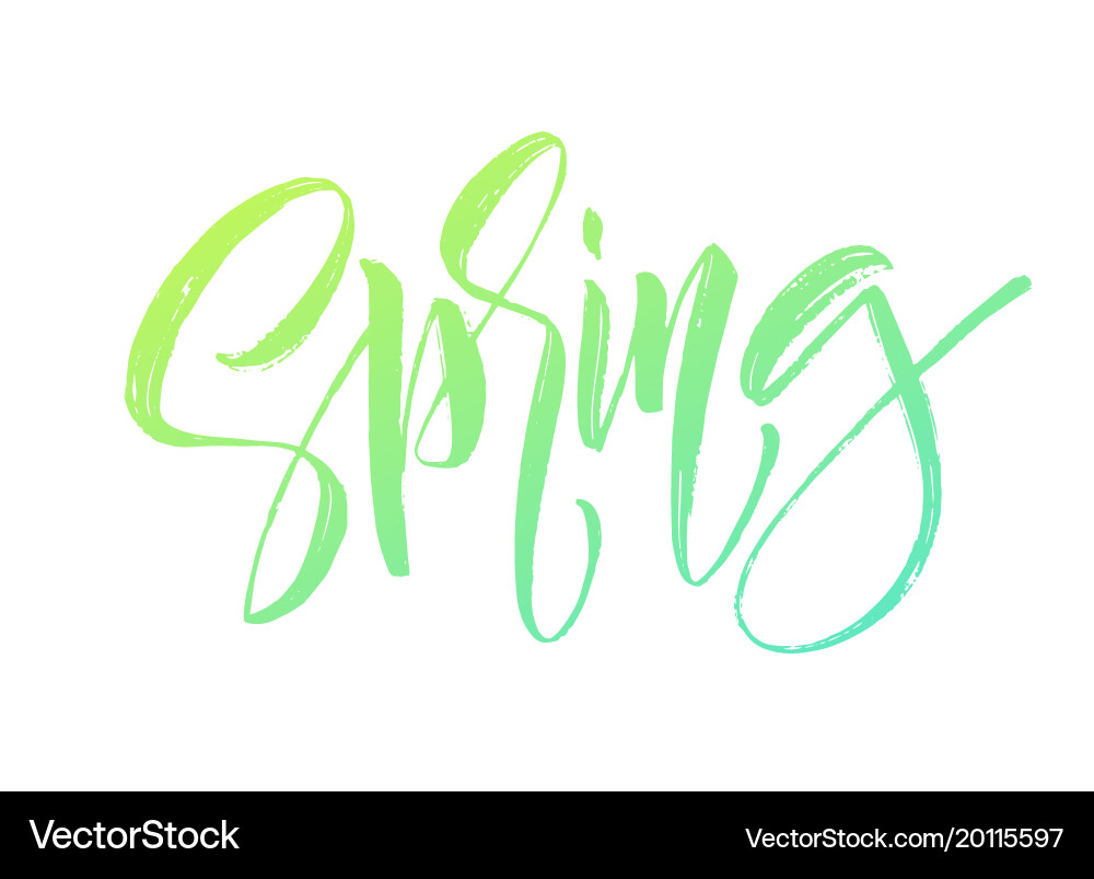 Spring handwritten lettering beautiful modern Vector Image