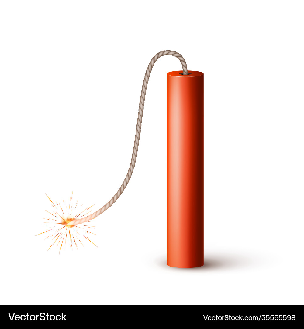 Dynamite bomb with burning wick military detonate Vector Image