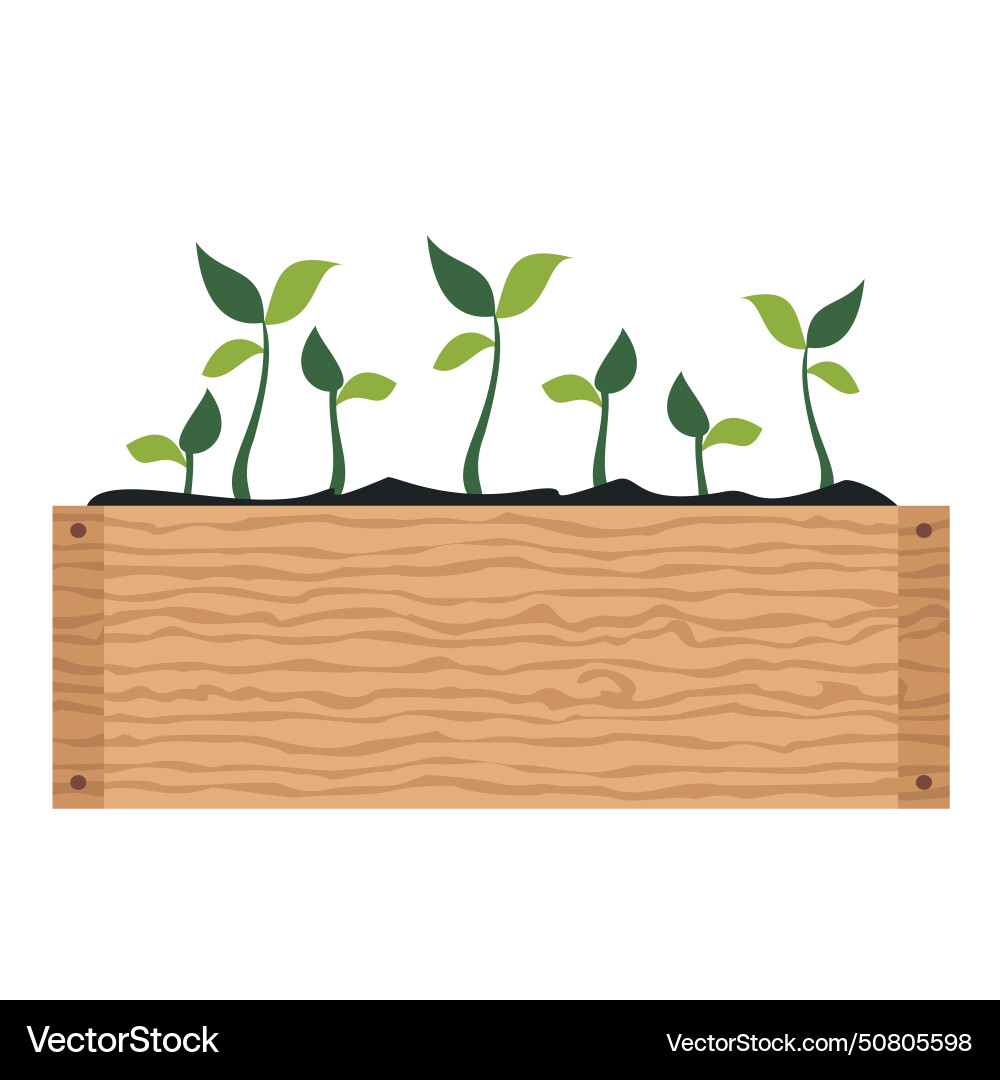Sprouts box Royalty Free Vector Image - VectorStock