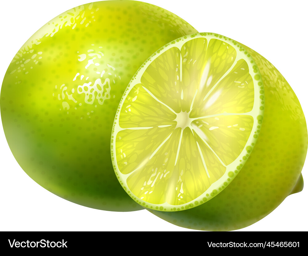 Realistic lime Royalty Free Vector Image - VectorStock