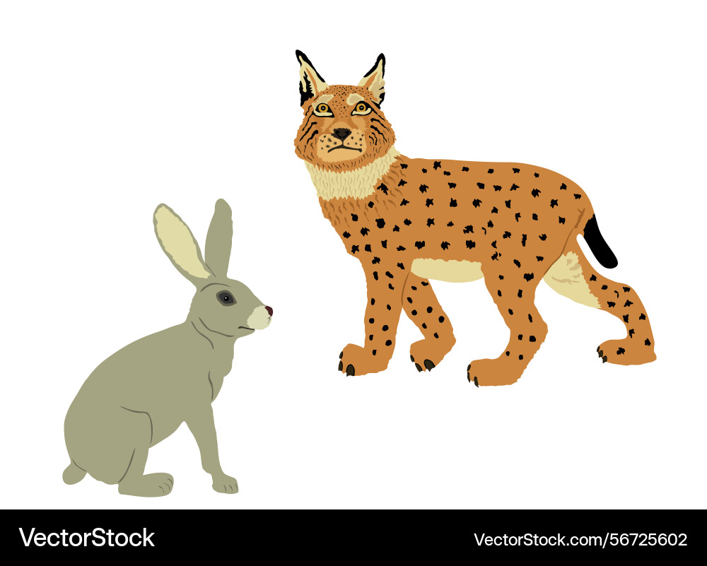 Cunning lynx hunter lurks a rabbit Royalty Free Vector Image