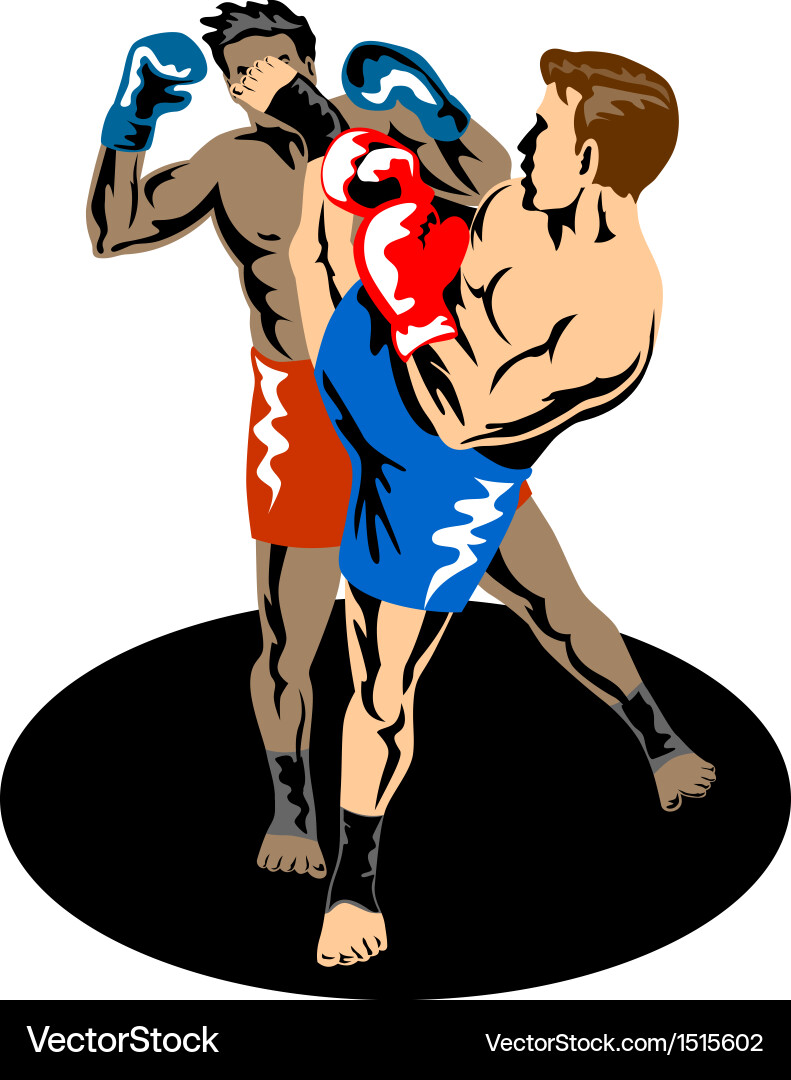 Kickboxer kicking Royalty Free Vector Image - VectorStock
