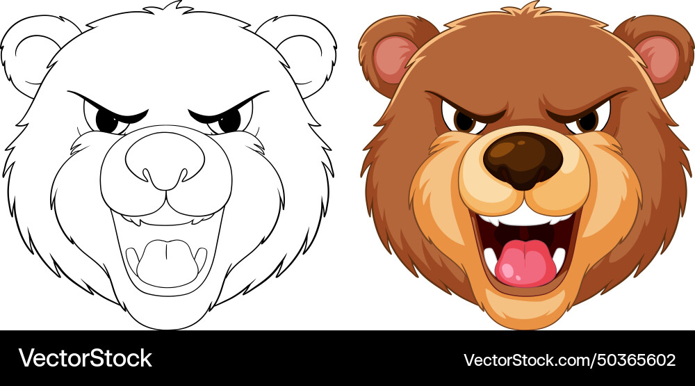 Two cartoon bear heads showing aggression Vector Image