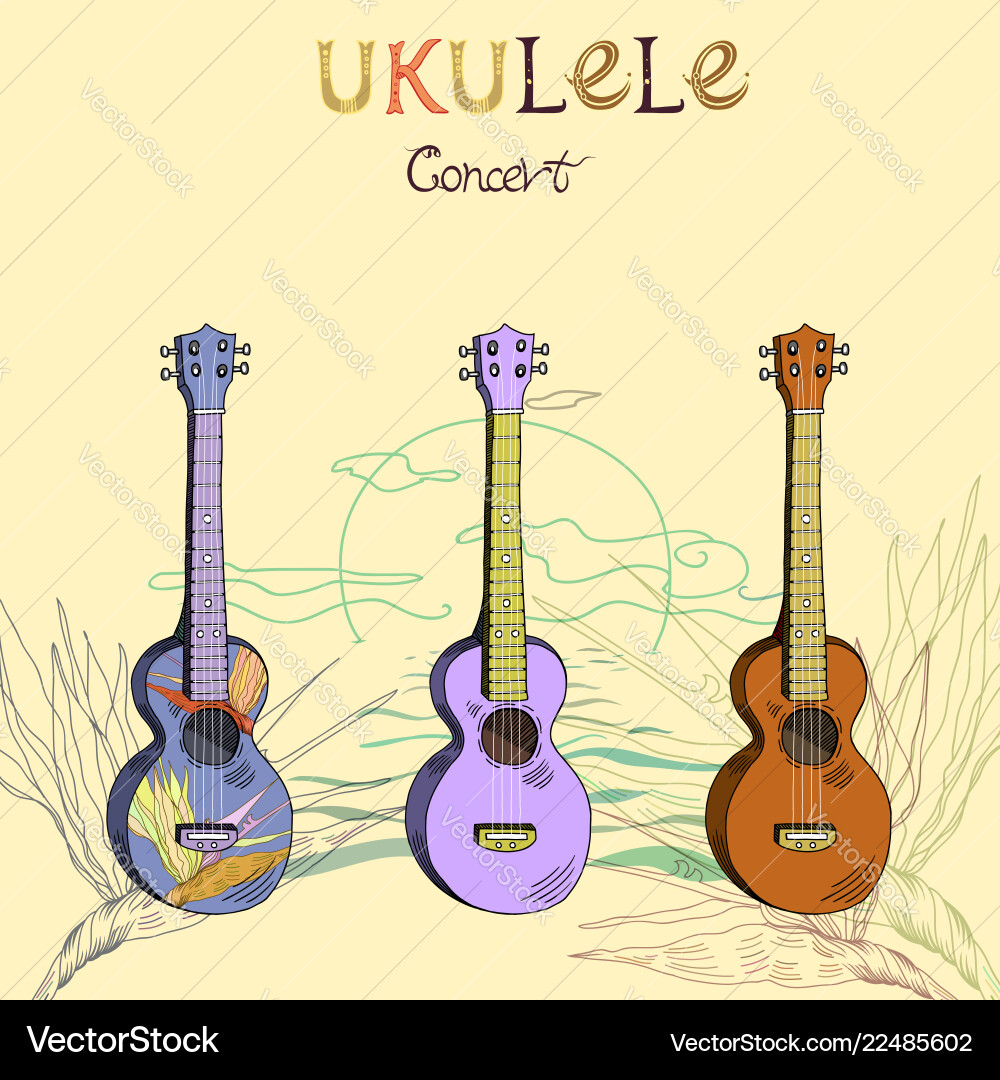 Ukulele concert set Royalty Free Vector Image - VectorStock