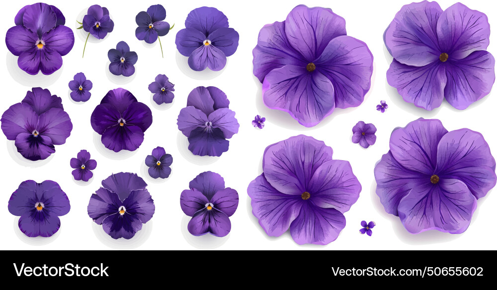 Violet Vector Images (over 240,000)