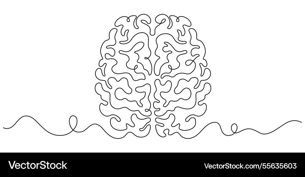Brain human organ neurology one line drawing Vector Image
