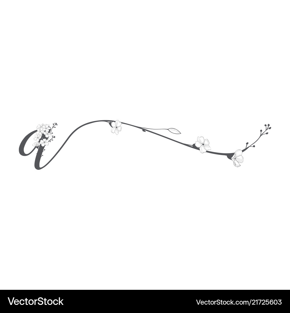 Hand drawn floral a monogram and logo Royalty Free Vector