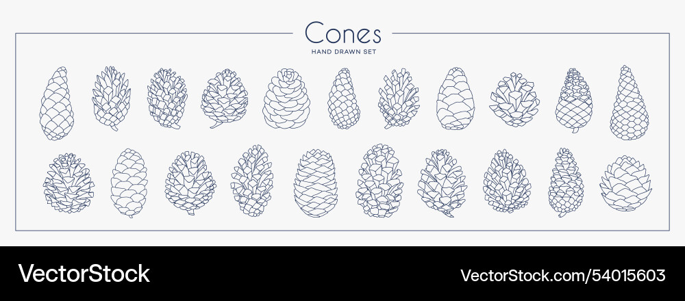 Pine cones collection set Royalty Free Vector Image