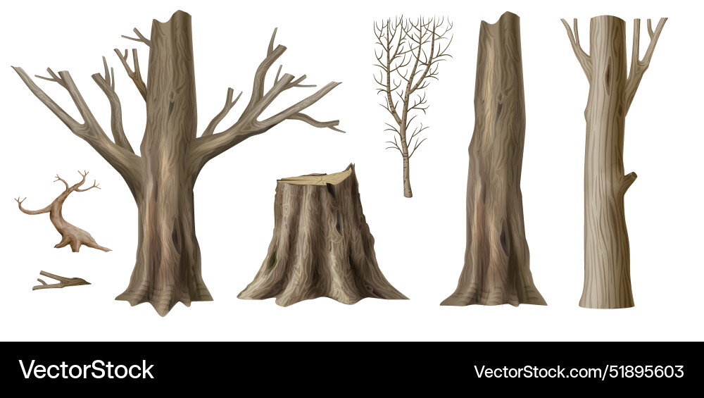 Wooden Log Textures Royalty Free Vector Image - VectorStock