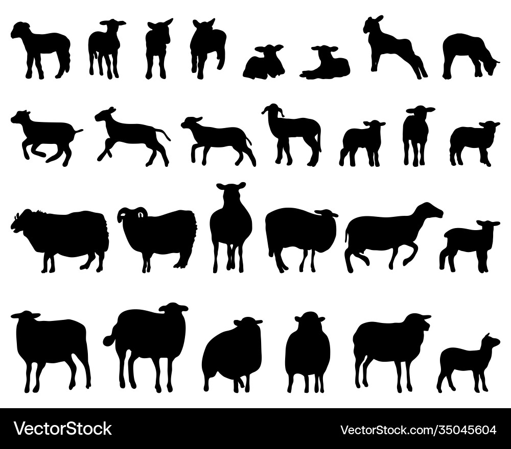 Luka Vector Images (over 110)