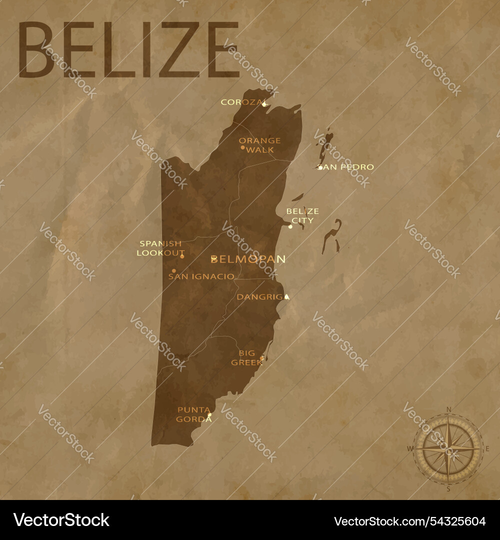 Vintage belize map with regions borders and major Vector Image