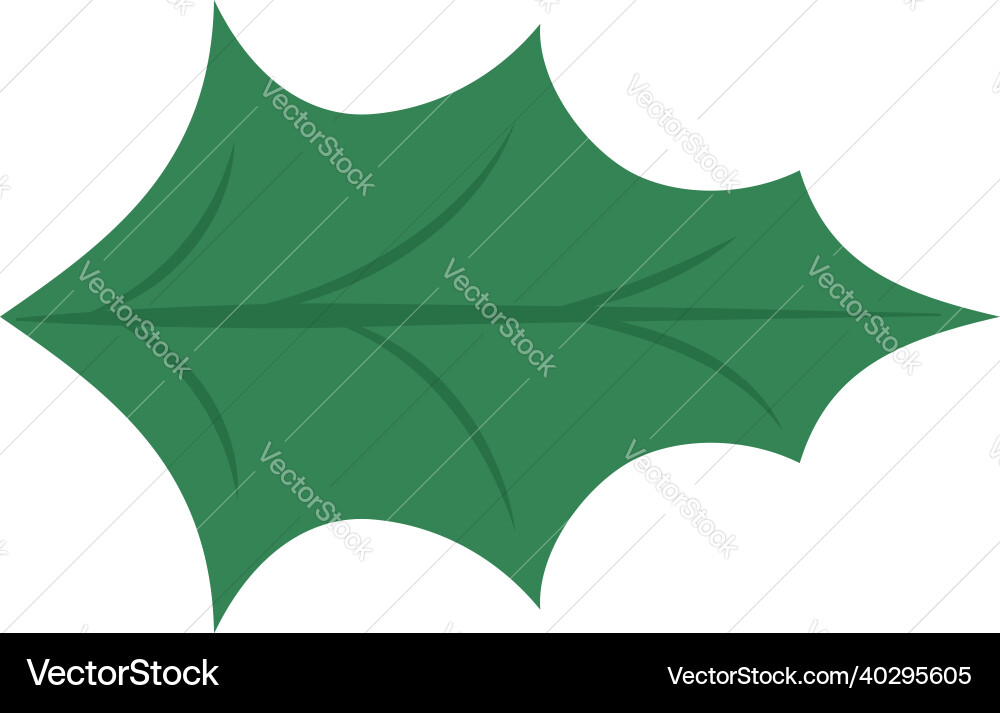 Christmas green holly leaf Royalty Free Vector Image
