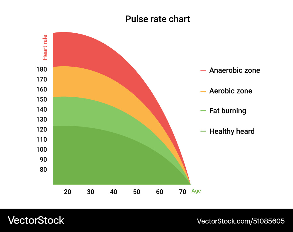 Heart Rate Chart Heartbeat Risk Diagram Royalty Free Vector
