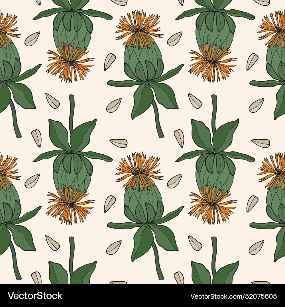Seamless pattern with safflower flower Royalty Free Vector