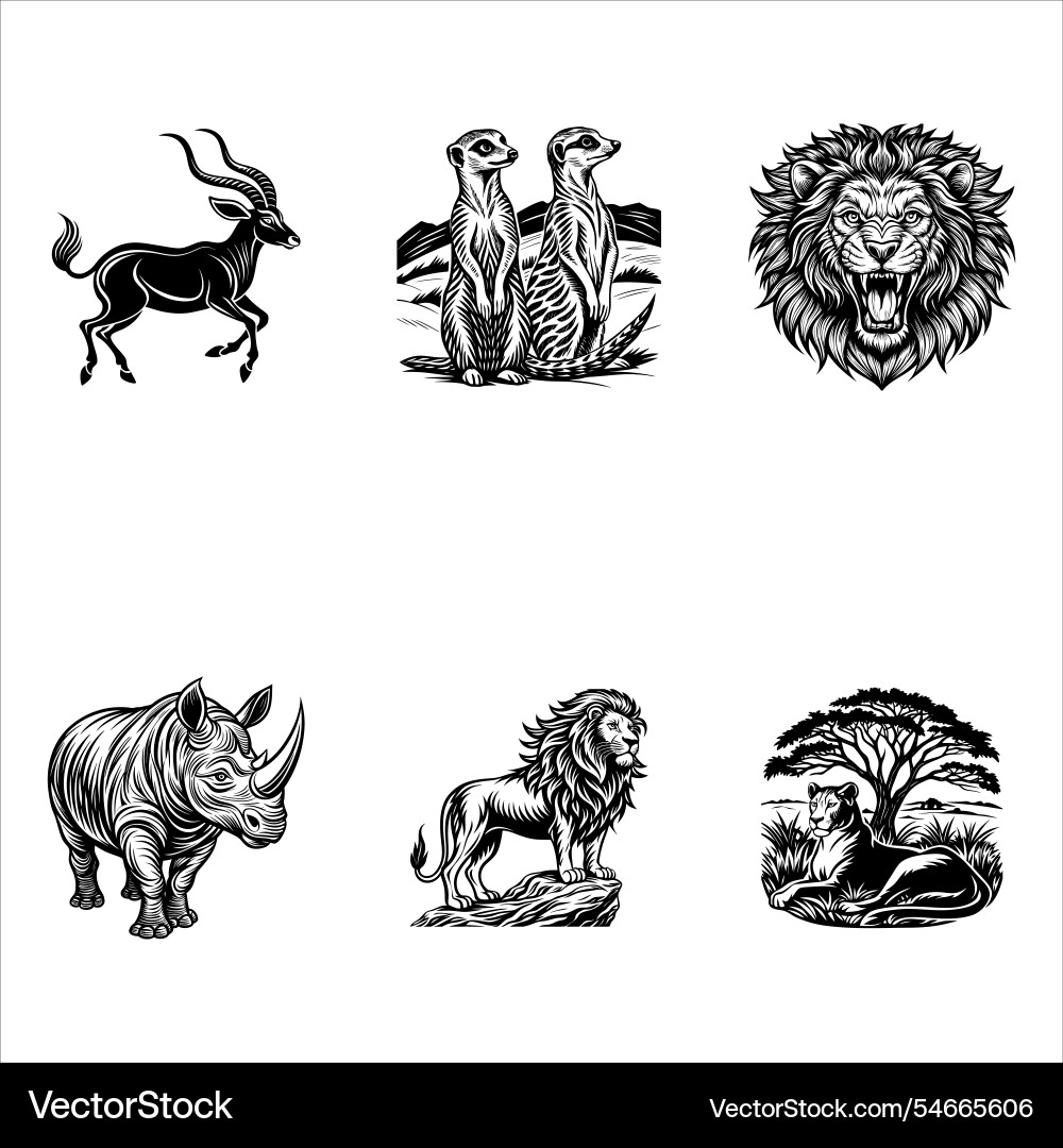 Animals Royalty Free Vector Image - VectorStock
