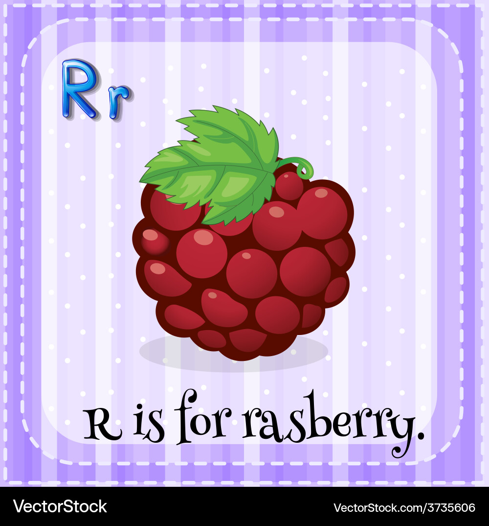 Letter r Royalty Free Vector Image - VectorStock