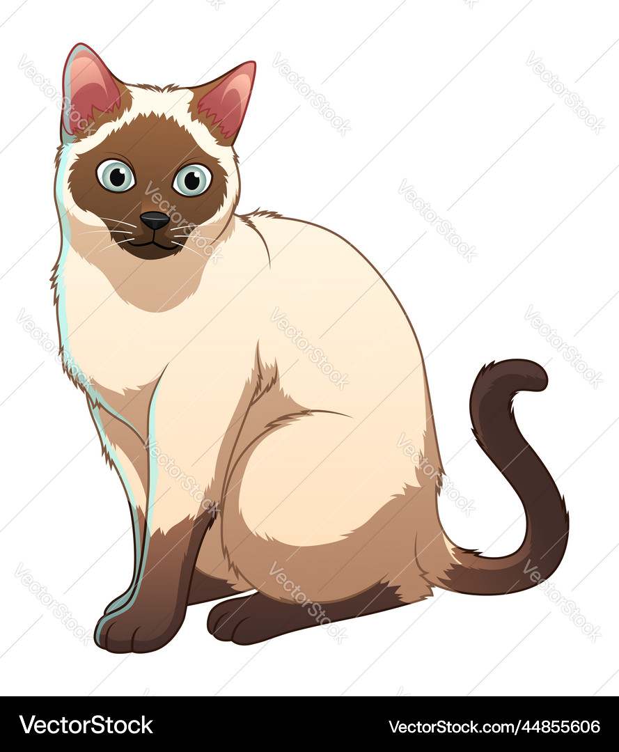 Siamese cat cartoon animal Royalty Free Vector Image