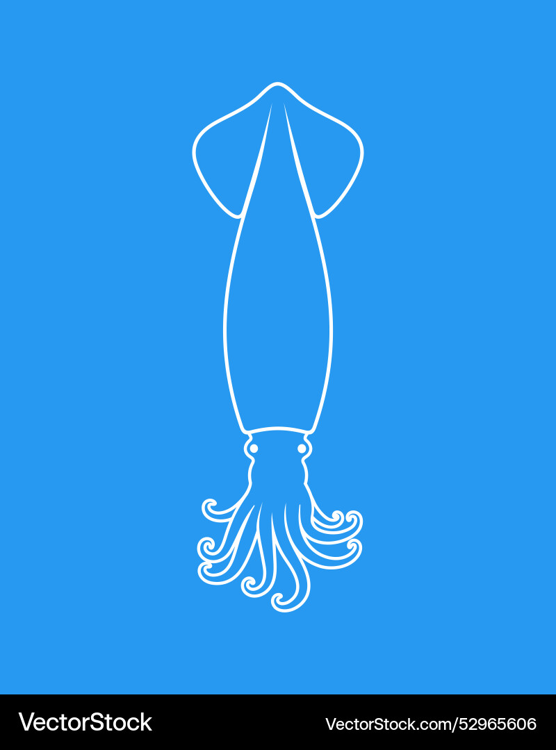Squid Royalty Free Vector Image - VectorStock
