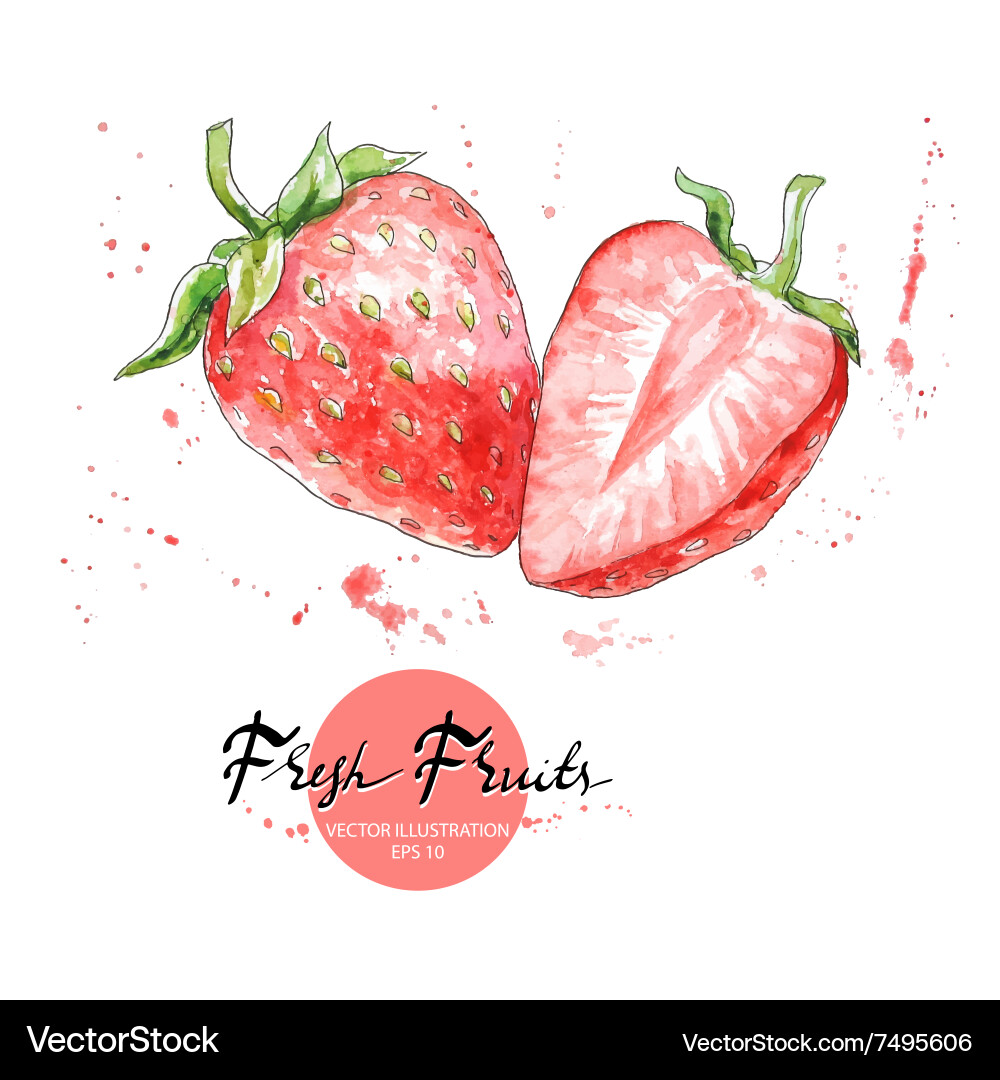 Strawberry Royalty Free Vector Image - VectorStock