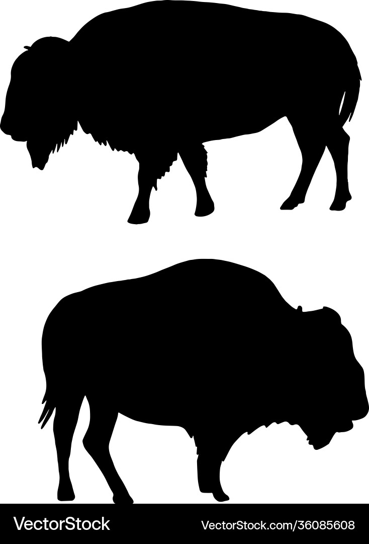 American bison silhouette Royalty Free Vector Image