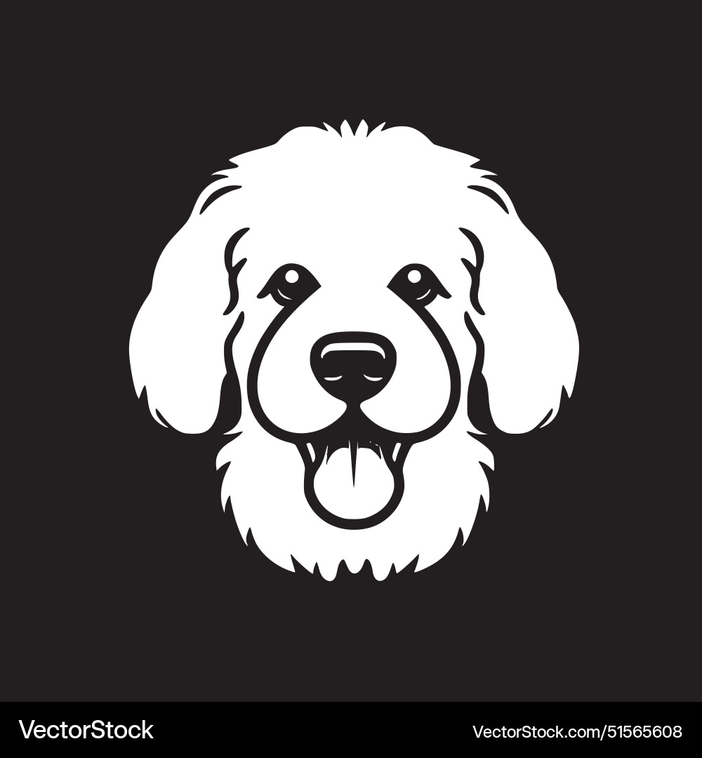Bichon frise - minimalist and simple silhouette Vector Image