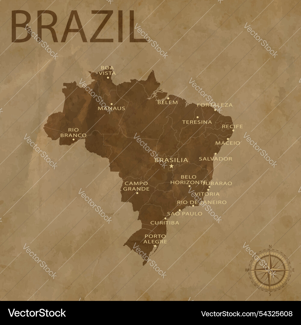 Vintage brazil map with regions borders and major Vector Image