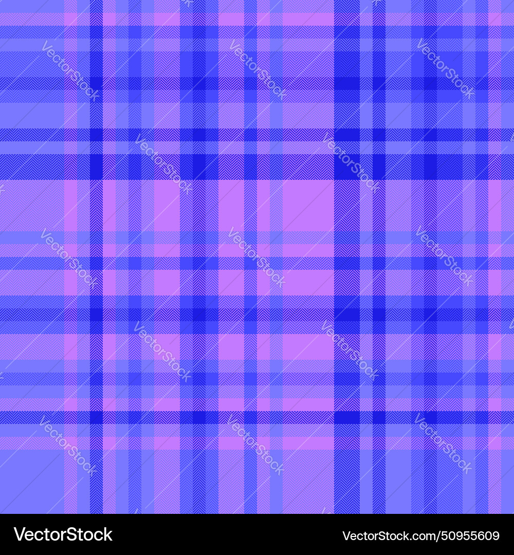 Check background textile of fabric pattern Vector Image