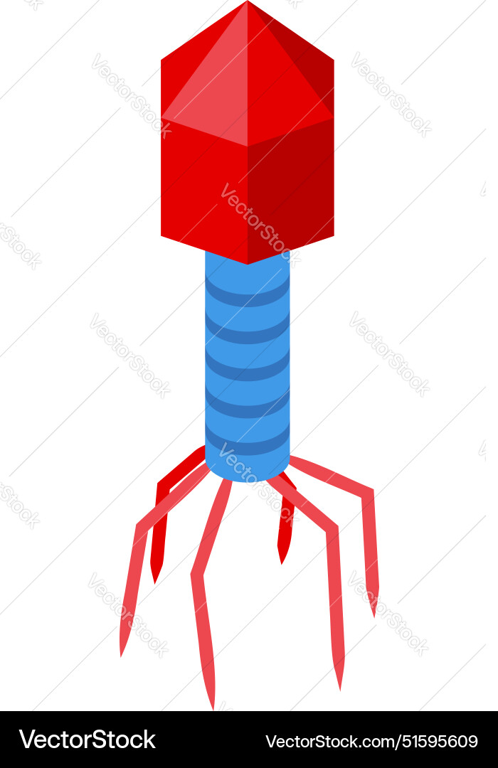 Simplified bacteriophage virus model showing Vector Image