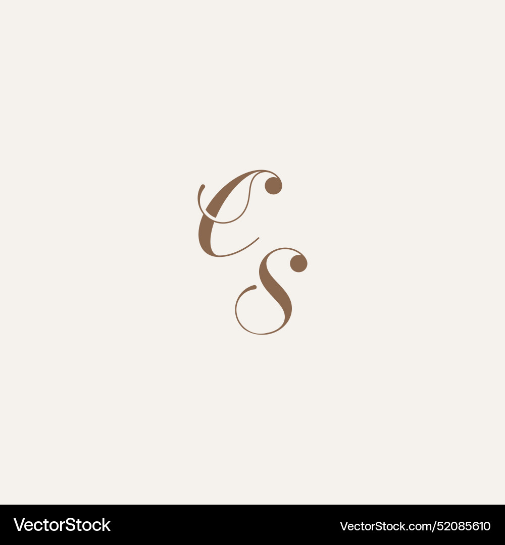 Initial monogram logo wedding concept design Vector Image