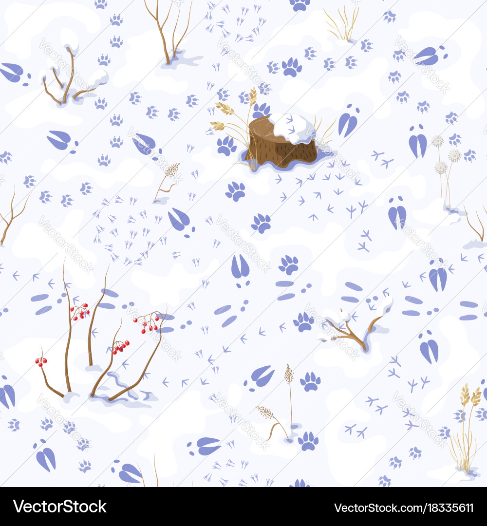Animals tracks pattern Royalty Free Vector Image