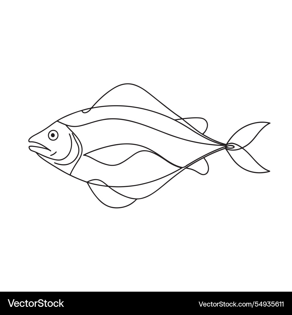 Halibut fish continuous line art flat on white Vector Image