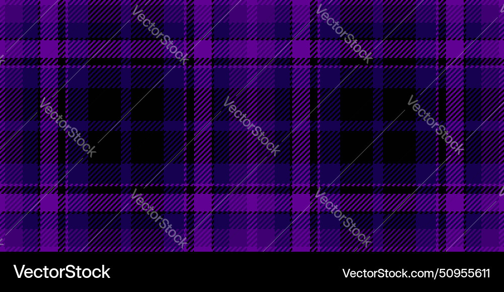 Horizon texture pattern check female seamless Vector Image