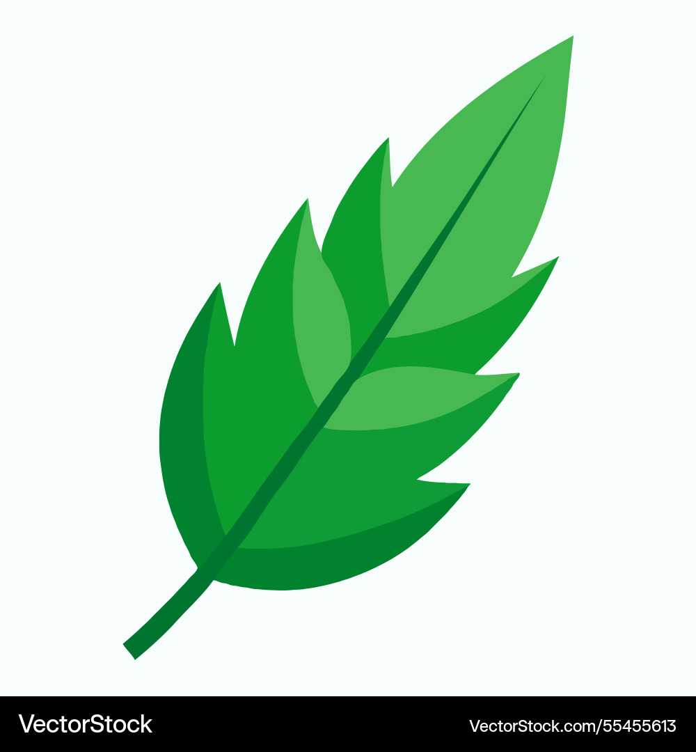 Neem leaf icon on white background Royalty Free Vector Image
