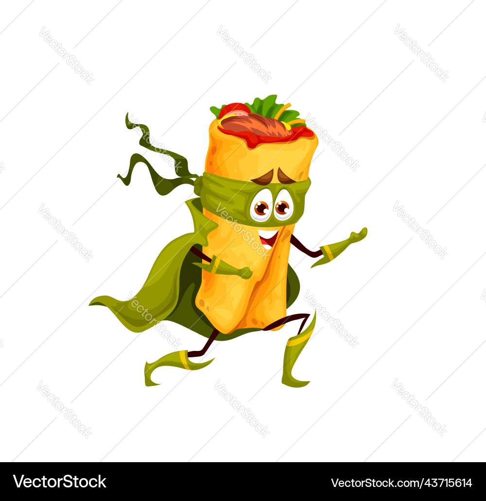 Cartoon funny shawarma superhero character Vector Image