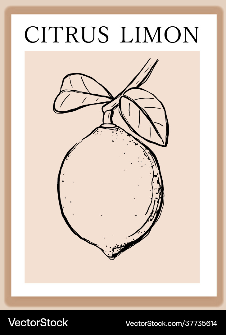 Hand drawn lemon sketch line art style Royalty Free Vector