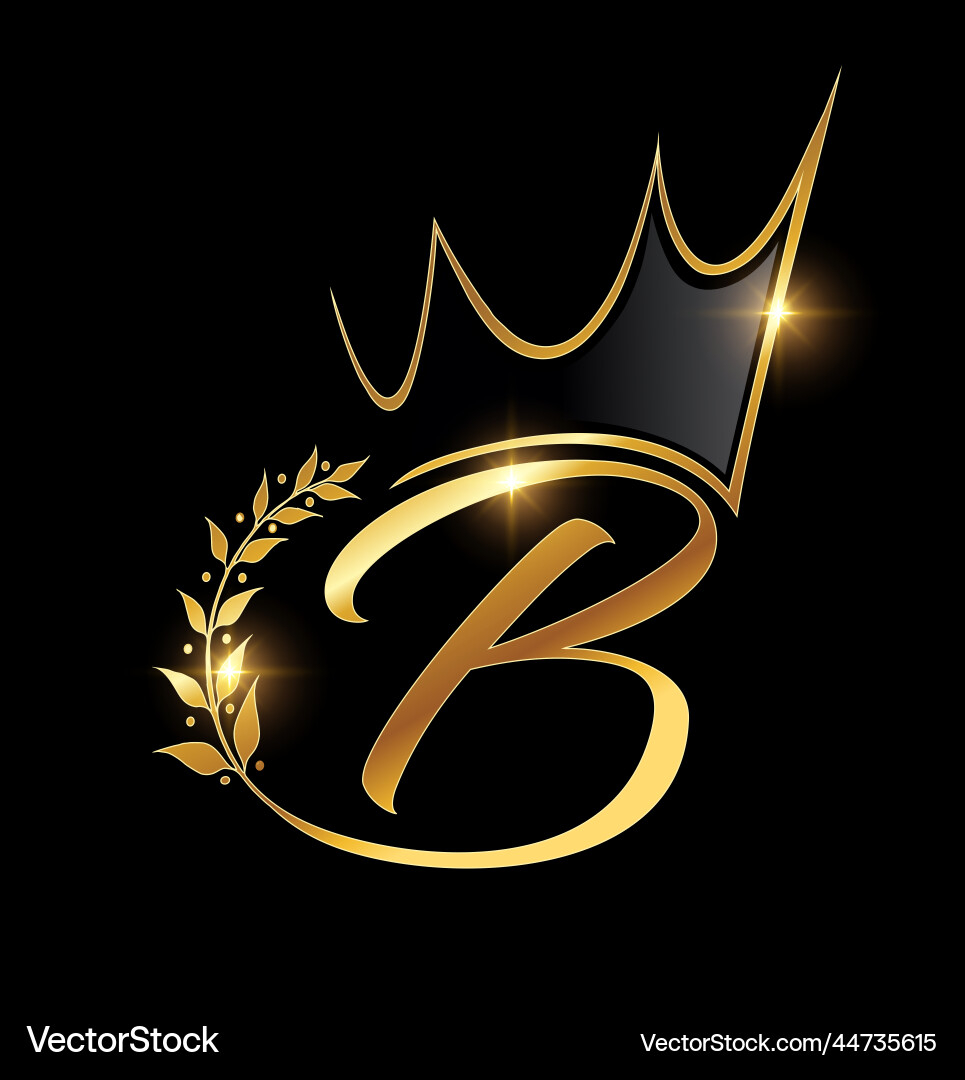 Fancy Letter B Designs