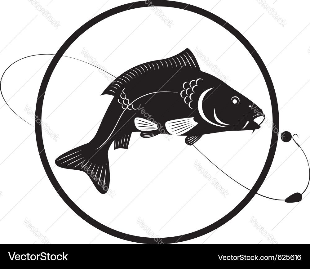 Carp Royalty Free Vector Image - VectorStock