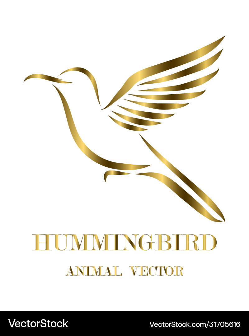 Flying hummingbird line art eps 10 Royalty Free Vector Image