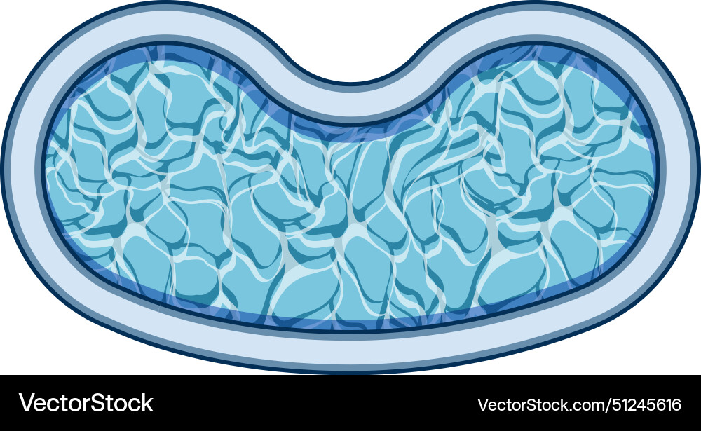 Surface top view pool cartoon Royalty Free Vector Image