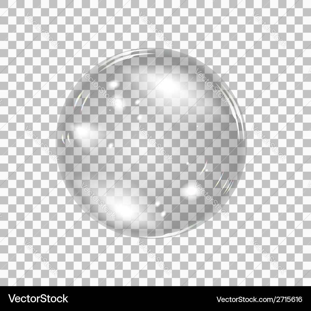 Transparent Soap Bubble Royalty Free Vector Image