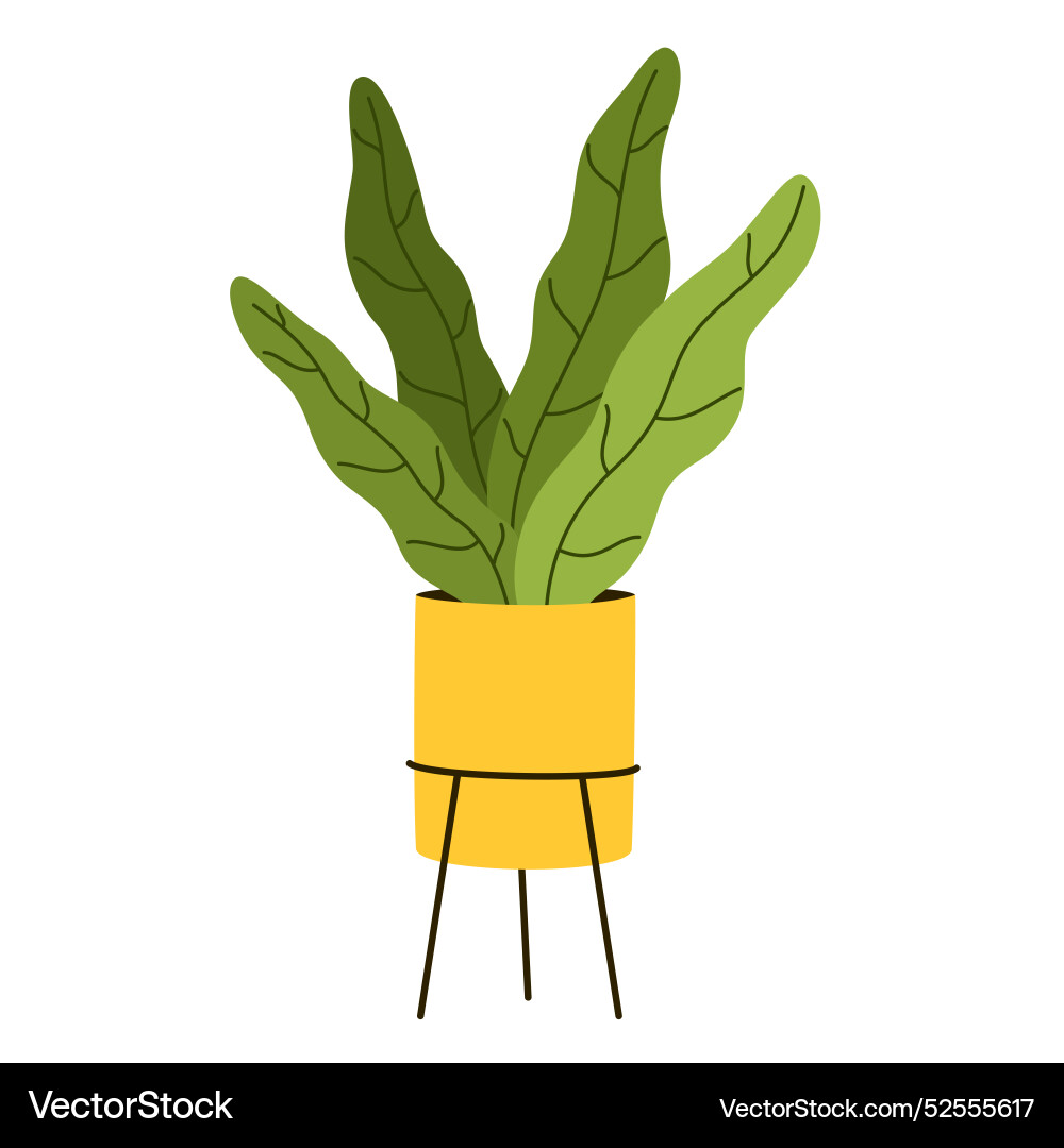 2232 house plant 6 Royalty Free Vector Image - VectorStock