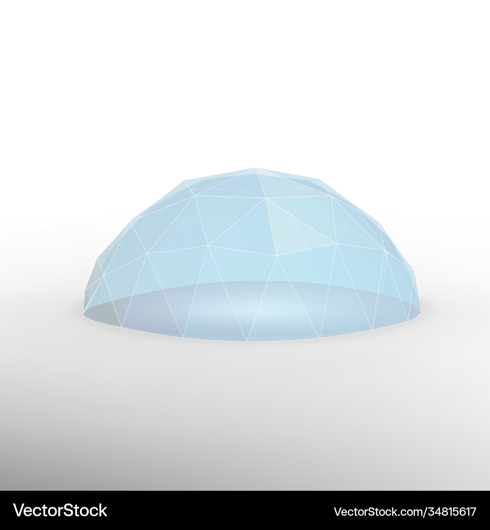 3d realistic spherical blue wire glass dome Vector Image
