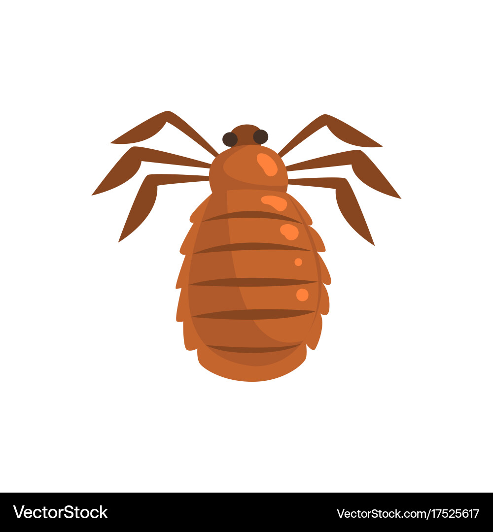 Louse insect parasite cartoon Royalty Free Vector Image