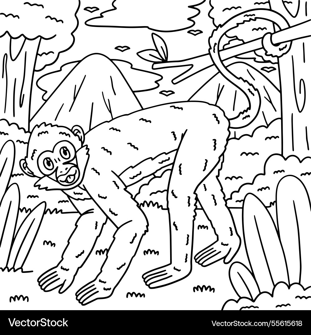 Geoffroy spider monkey coloring page for kids Vector Image