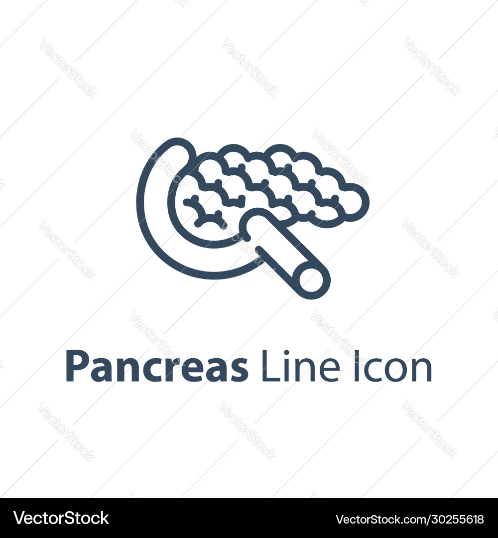 Human internal organ pancreas diagram Royalty Free Vector
