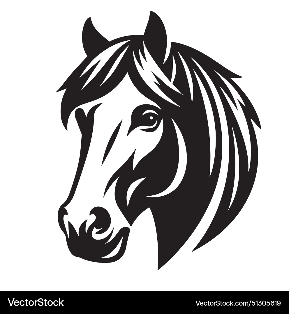 Elegant horse head Royalty Free Vector Image - VectorStock