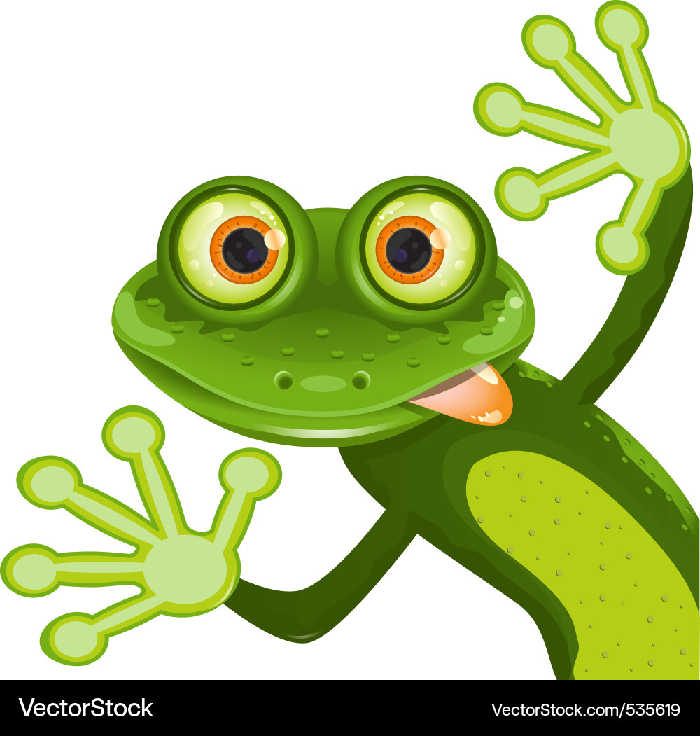 Frog Royalty Free Vector Image - VectorStock