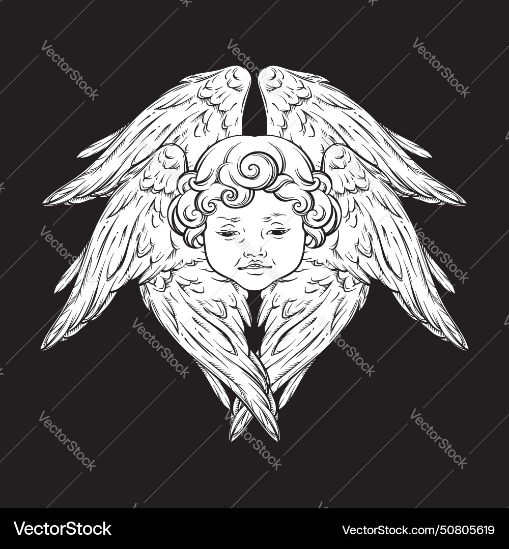 Six winged cherub cute curly smiling baby Vector Image